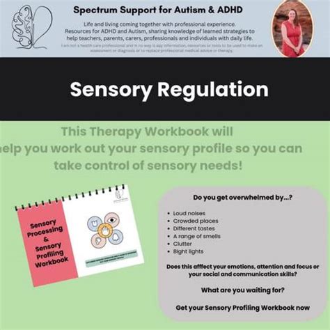 Sensory Processing Disorder Overload And Profiling Workbook Sensory