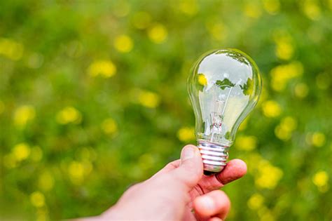 노란 꽃이 있는 흐릿한 녹색 배경에 전구를 들고 있는 손은 재생 에너지 환경 보전 및 더 친환경적인 미래를 위한 지속 가능한 관행을 상징합니다 개념에 대한 스톡 사진 및