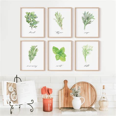 Kitchen Herbs Art Prints Botanical Prints Set Of 6 8x10 Unframed