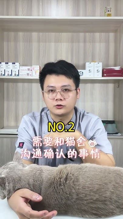 千万不要头脑一热 ️ ️就冲动养猫‼️养猫经验分享话题 养猫人话题 新手养猫话题 新猫到家话题 新猫到家注意事项话题 养猫