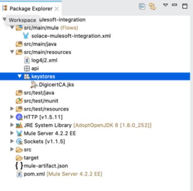 Integrating MuleSoft With Solace PubSub Cloud Solace