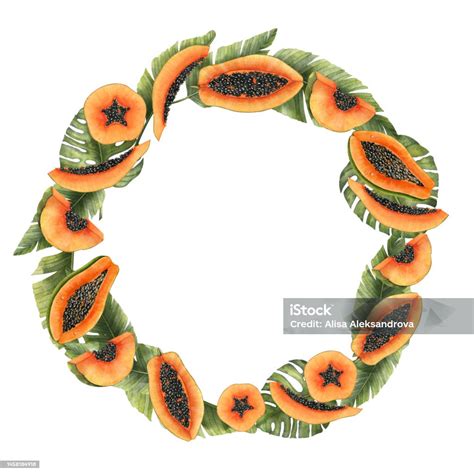 오렌지 파파야 과일과 녹색 야자 잎으로 수채화 화환 손으로 그린 이국적인 열대 라운드 프레임 생산 라벨 고립된 배경에 그림 주스 식물과 식물 그림 0명에 대한 스톡 벡터