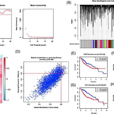 The Wgcna Screening For Panoptosis Related Hub Genes A Choose A Download Scientific Diagram