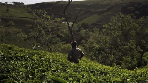 마음의 안정을 줄수있는 힐링음악 Youtube