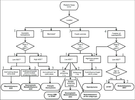 Predesigned Radiologic Flow Chart Created According To The Literature