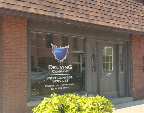Contact Delving Pest Control