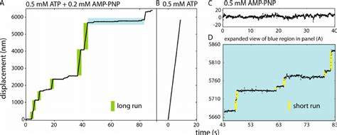 Movement On Microtubules Of Single Kinesin Molecules Tagged With Download Scientific Diagram