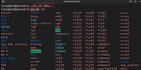 understanding linux file hierarchy — a beginner friendly guide with use cases dev community