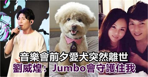 【好傷心】音樂會前夕愛犬突然離世 劉威煌：jumbo會守護住我 星島日報