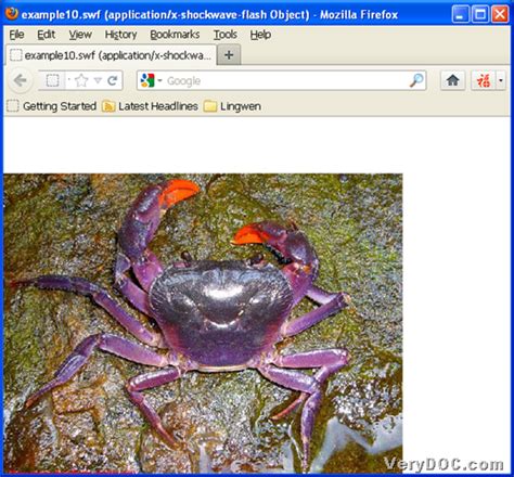 How Can We Convert Encrypted Pdf To Swf With Command Line Verydoc Knowledge Base