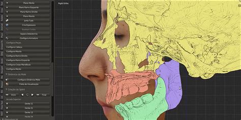 English Videotutorial Ortogonblender Add On Blendernation