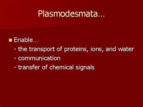 Intercellular Junctions Ap Biology Ms Oldendorf Chapter 6