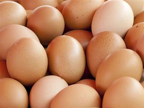 Top 5 Vitamin B Or Riboflavin Foods To Overcome Vitamin B2 B3 B6 And
