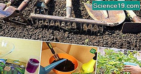 Cum Se Utilizează Regula Octetului 💫 Portal Multimedia Științific Și Popular 2025