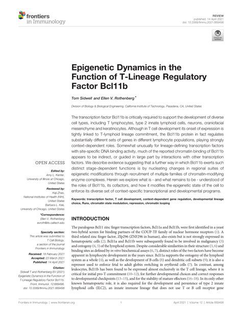 PDF Epigenetic Dynamics In The Function Of T Lineage Regulatory Factor Bcl B
