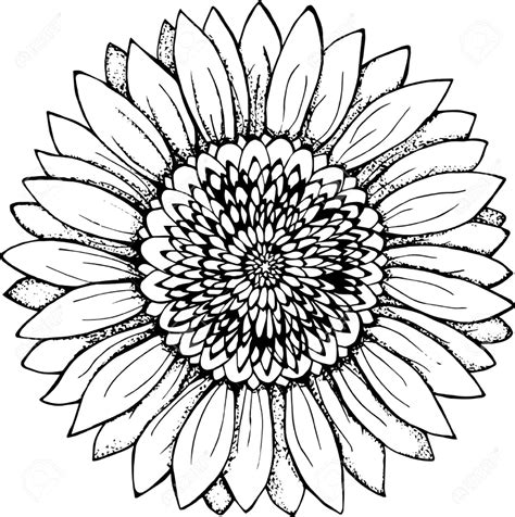 Free 182 Clipart Realistic Sunflower Svg SVG PNG EPS DXF File
