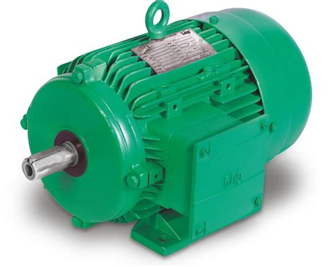 Electrical Motors Manufacturers And Suppliers In India Lhp