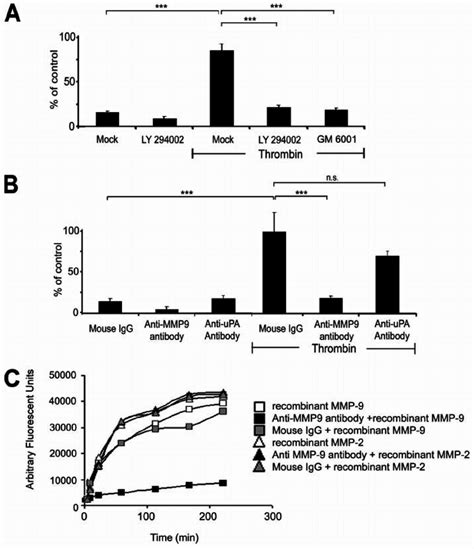 Thrombin Induces Cell Invasion Via Mmp 9 And A Pi 3 Kinase Dependent