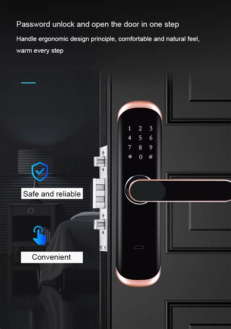 OEM Manufacturer Safety Door Smart Lock With Handle S A Access Control