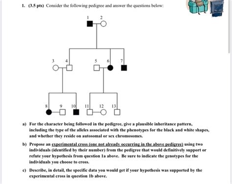 solved 1 3 5 pts consider the following pedigree and