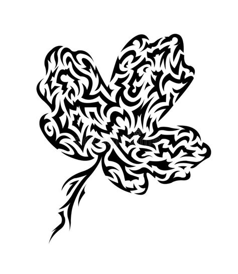 Leaf Specimen Stock Illustrations 3098 Leaf Specimen Stock