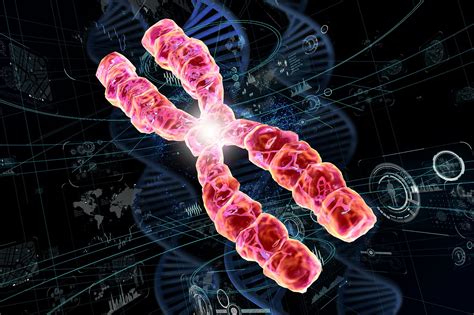 Can We Live Forever Telomerase Dna Research