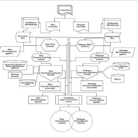 Flowchart Of The Bioinformatic Pipeline For The Dual Rna Seq Analysis