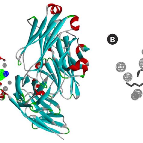 A Generated E Pharmacophore Model Showing The Pockets Where Ligands