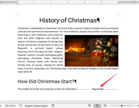 Word控件Spire Doc 页面设置教程 在C VB NET在 Word 文档中插入分页符 spire dox 区分页和章节 csdn CSDN博客