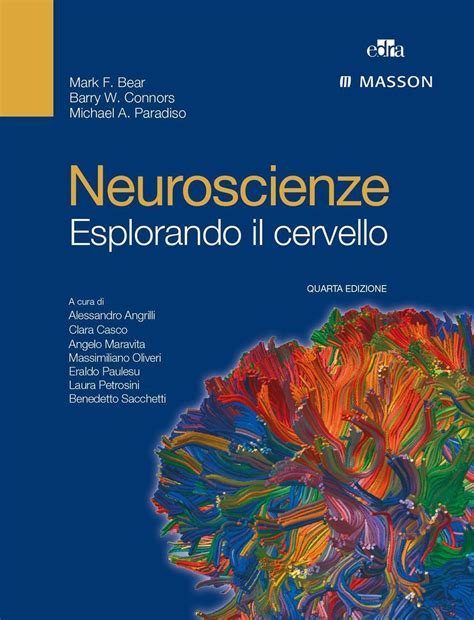 Neuroscienze Esplorando Il Cervello Mark F Bear Barry W Connors Libro Edra IBS