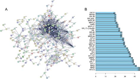 Protein Protein Interaction Ppi Analysis Of A Mdd B Mdd Related Download Scientific