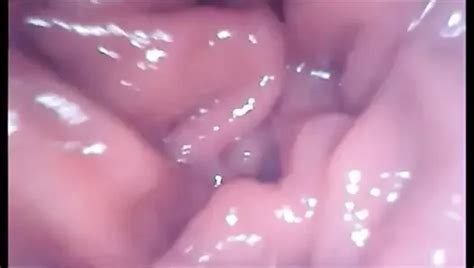 Ganz Nahaufnahme In Einer Nassen Schönen Muschi Super Qualität 4k Xhamster