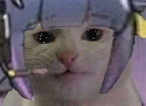 明日方舟表情包涤火杰西卡流泪猫猫头 哔哩哔哩