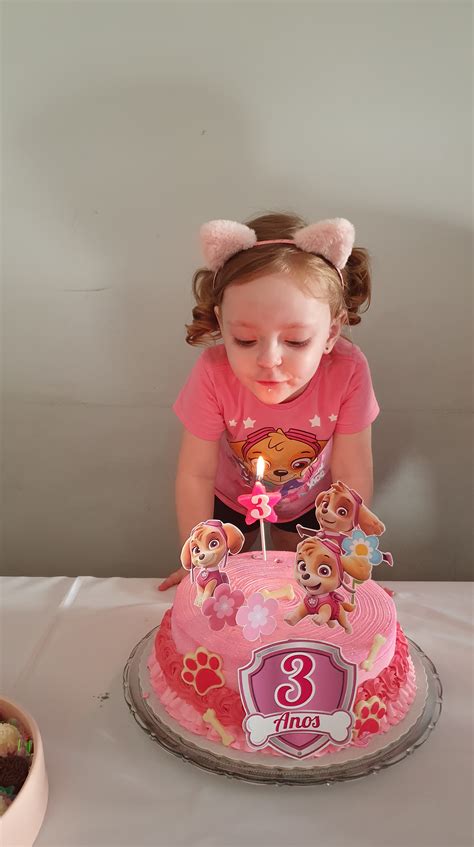 Festa Skye Patrulha Canina 3 anos da Catarina Baú de Menino