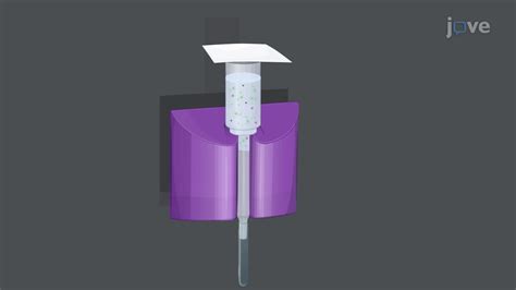 Video Obtaining Various Neural Cell Populations From A Rat Hippocampus Concept