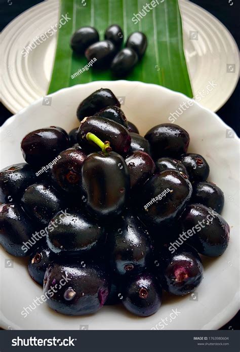 Java Plum Black Jamun Indian Fruit Stock Photo 1763980604 Shutterstock