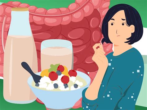 The Probiotic Strain Lactobacillus Fermentum Probiotics Livingsynbio