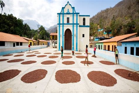 Mejores sitios turísticos de choroní Vistalos Posadas en Venezuela