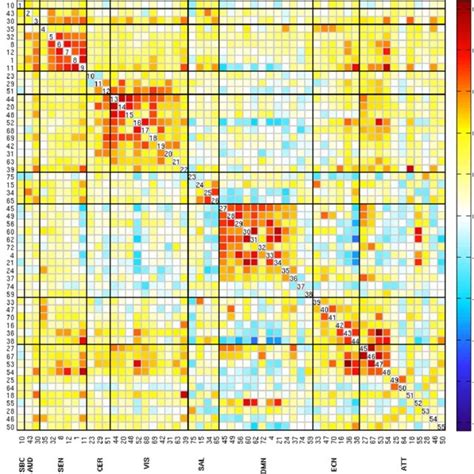 Fig Ure 2 Functional Network Connectivity Matrix Of The 55 Rsns