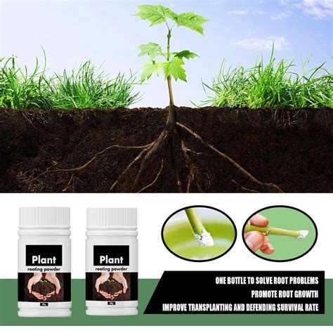 Rooting Hormone For Cuttings 50g Root Rooting Hormone Rooting Hormone For Easy To Root Plants