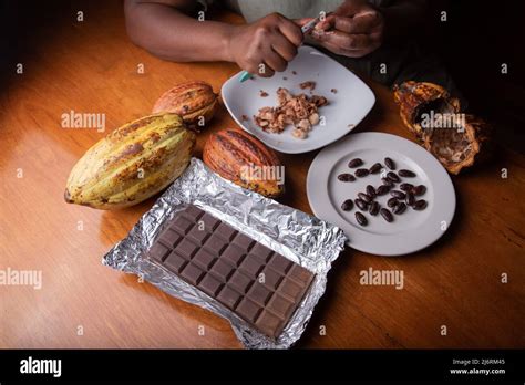 Cocoa Processing Hi Res Stock Photography And Images Alamy