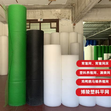 平网塑料网养殖网漏粪网养鸡用网床养鹅防护围栏网格胶网垫网鸡网虎窝淘