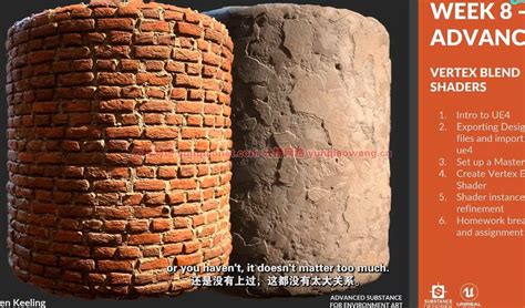 Blender懒人森林极速生成插件v2 一键打造梦幻植物世界 云桥网络