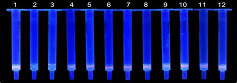 Specificity Of The Fq Itc Assay The Results Of Testing By The