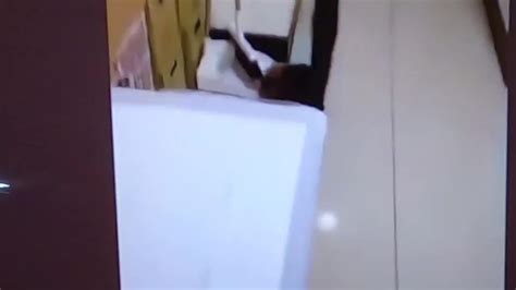 Flying Squirrel Faking Its Own Death Album On Imgur