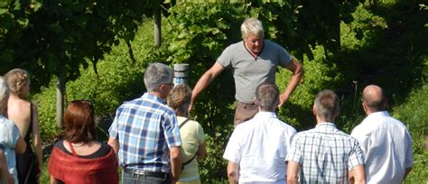 Guldbæk Vingaard Rundvisning Vinsmagning Og Spisning Danishwine