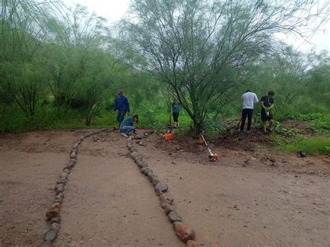 Tres años de jornadas de limpieza y reforestación Libera Radio