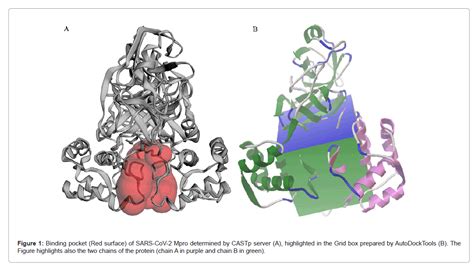 Journal Of Infectious Diseases And Therapy Identification Of Promising