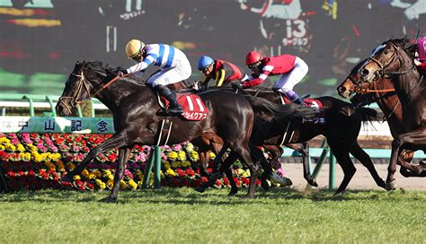 明日のメインレースは中山記念gⅡ。ps阪急杯gⅢにiwagen上位6頭に業界用語でいう変な馬達が一杯いいます。 ブログ一覧 競馬予想