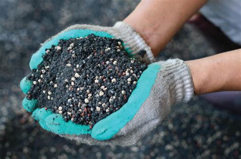 Biotech Firm Pivot Bio Beta Testing Clean Alternative Nitrogen Fertilizer To Spare Farmland